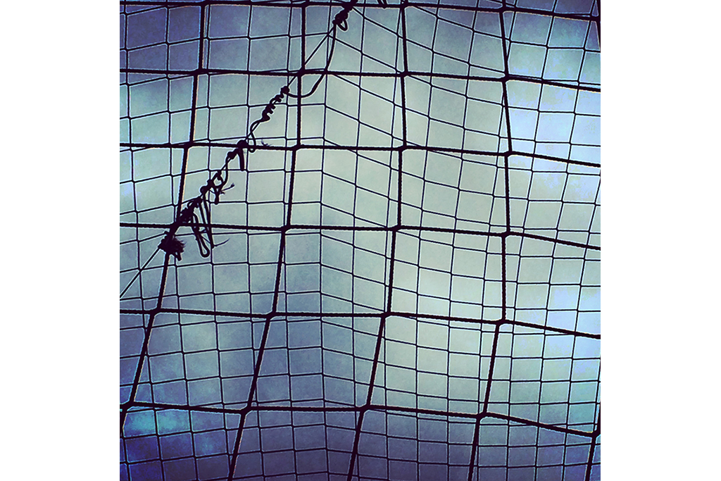 sarah j duncan :: photography